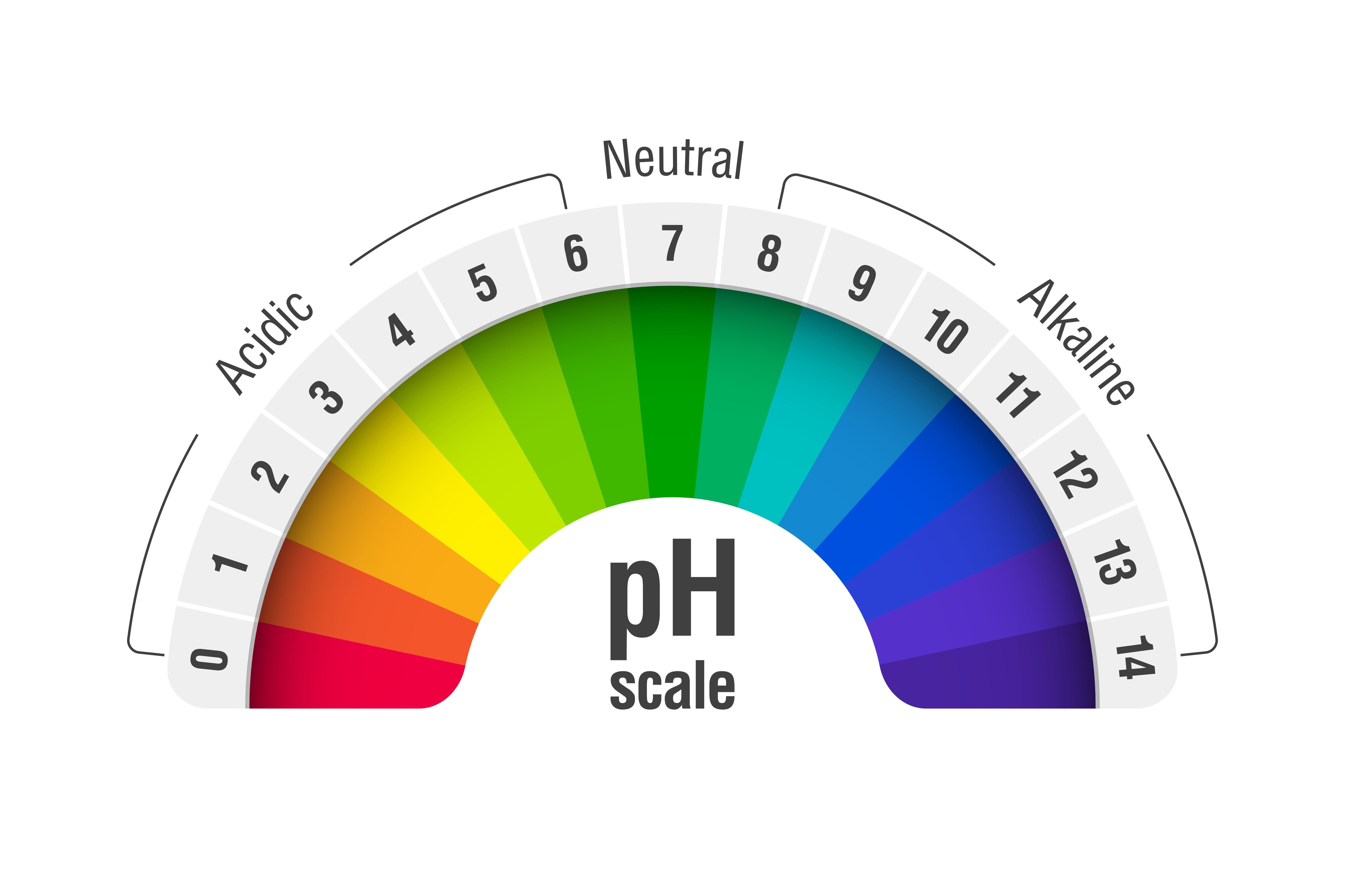 Cosa Il PH Come Si Misura E Come Influenza La Vita Di Tutti I Giorni Cosa Il PH Come Si Misura E Come Influenza La Vita Di Tutti I Giorni