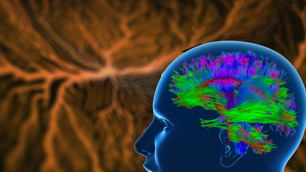 Come comunica il cervello: come viaggiano gli impulsi elettrici nella ...