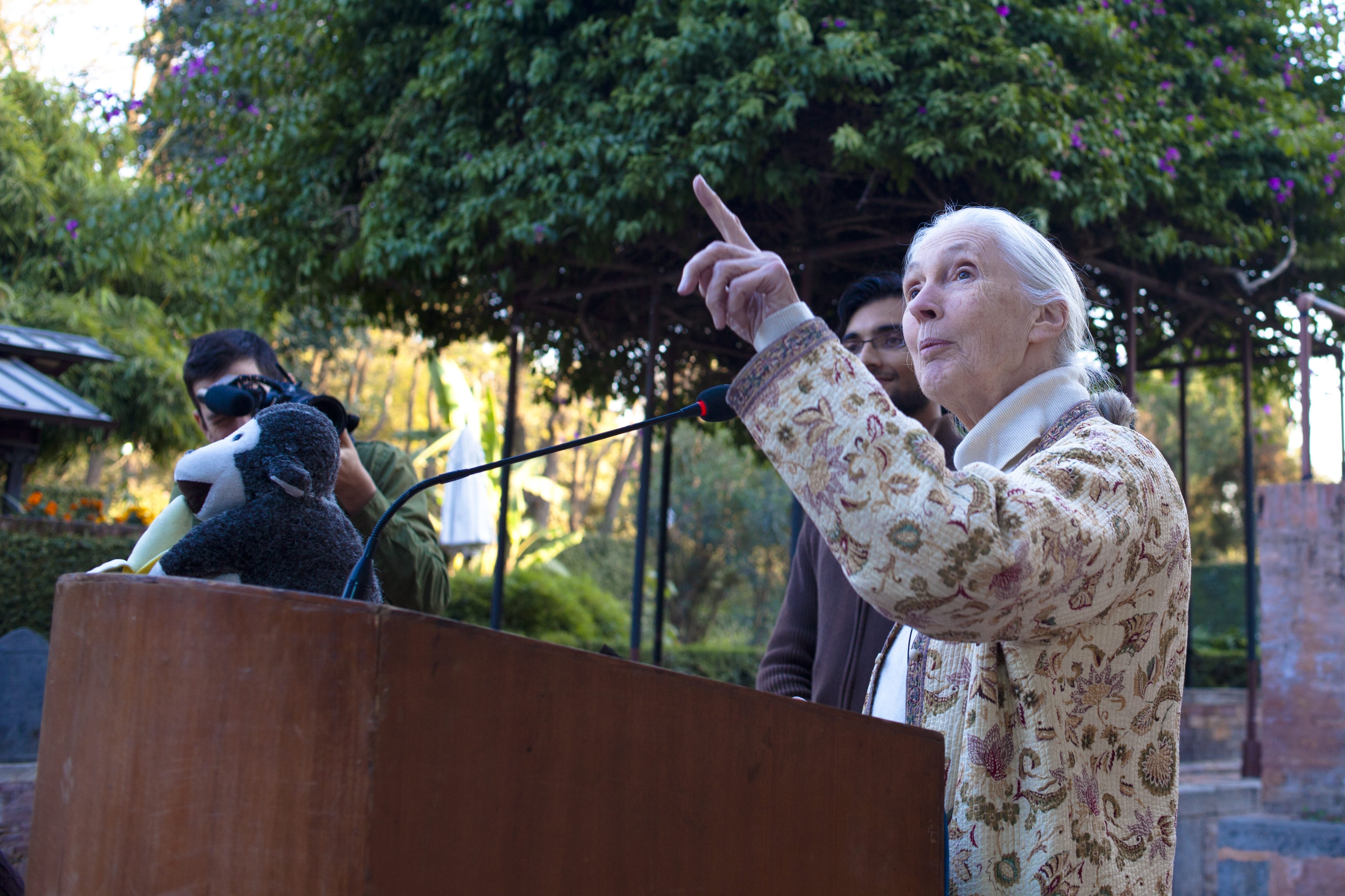 Le scoperte di Jane Goodall che hanno ridefinito il confine tra l'uomo ...