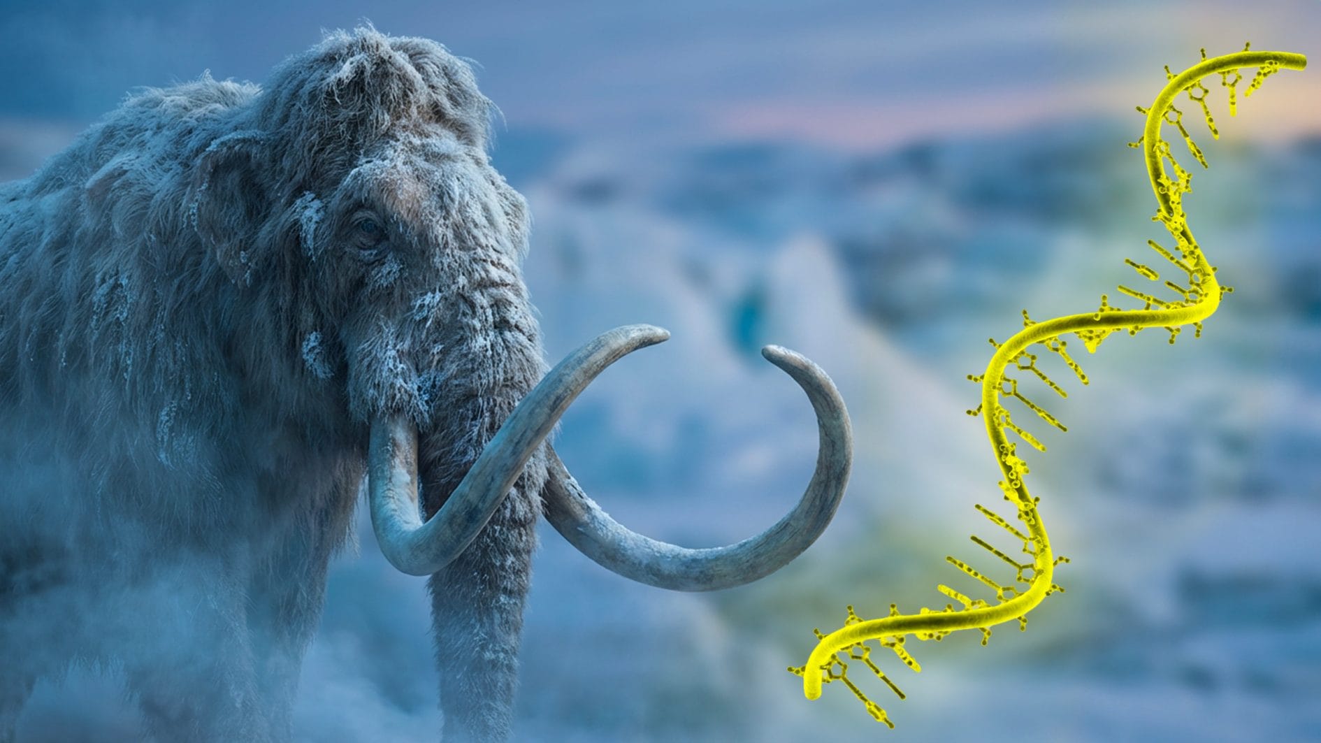 Sequenziato l’RNA più antico al mondo da un mammut lanoso che risale a ...