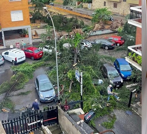 Tromba d'aria a Roma, danni e alberi sradicati a Montesacro: allerta ...